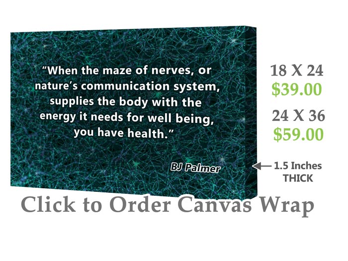 Top 50 Chiropractic Quotes- Awesome Quotes for Chiropractors